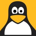 Linux system operacyjny, wersje Linuxa