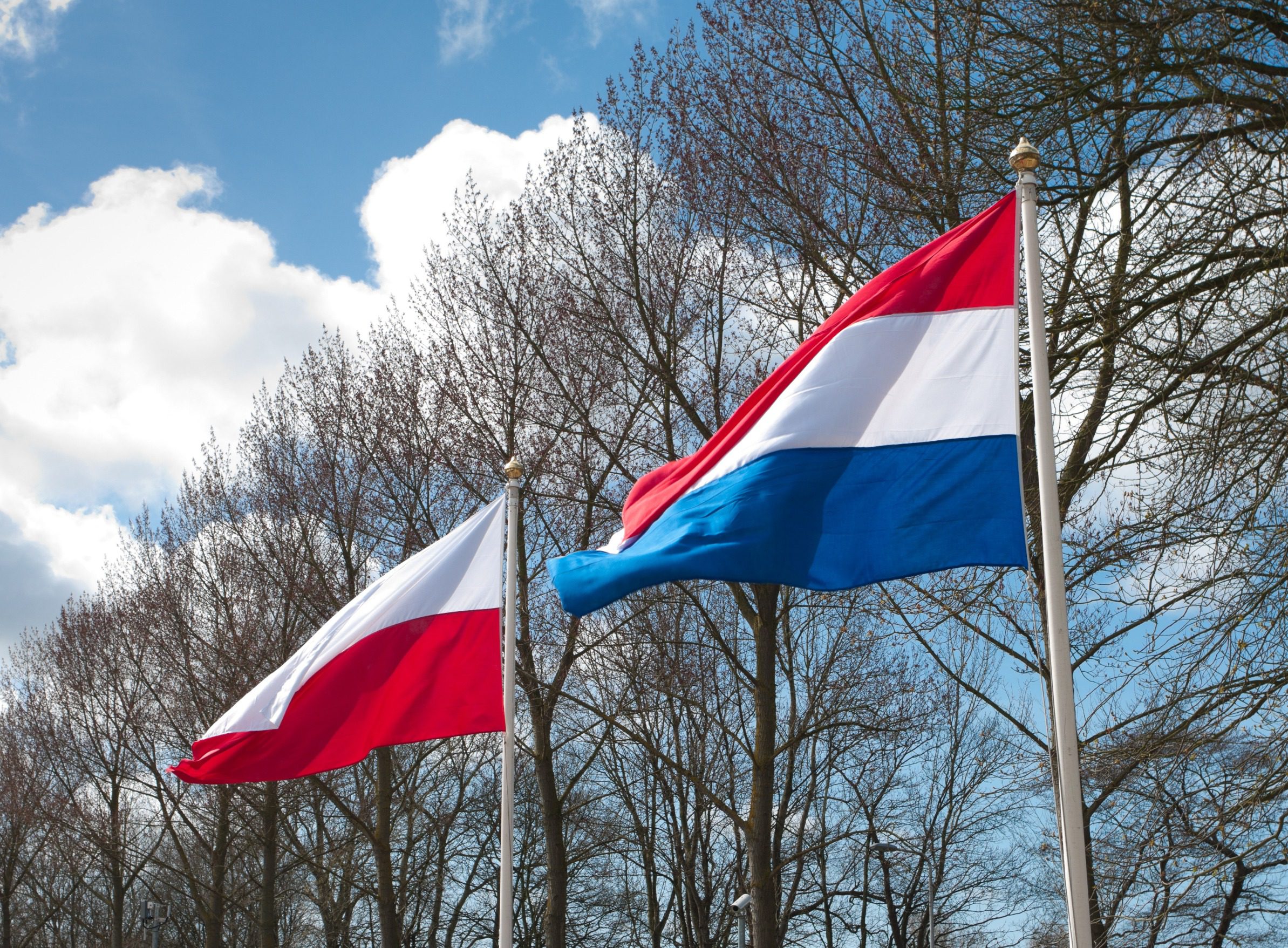 Poland–Netherlands Economic Relations: Why Polish Businesses Thrive in ...